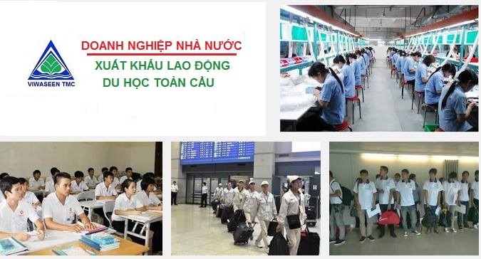 CÔNG TY CỔ PHẦN PHÁT TRIỂN NHÂN LỰC, THƯƠNG MẠI VÀ DU LỊCH VIWASEEN